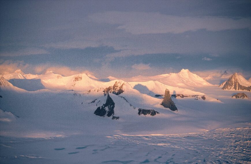 From Penguins To Icebergs: A Photographer's Guide To Exploring Antarctica